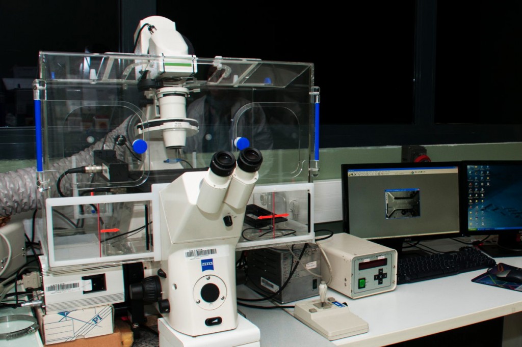 MICROSCOPES CHAMP LARGE - TRI-Genotoul