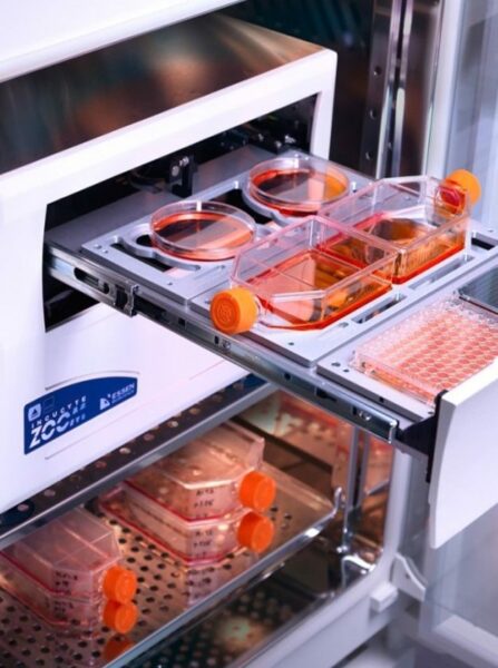 Présentation Incucyte - TRI-Genotoul