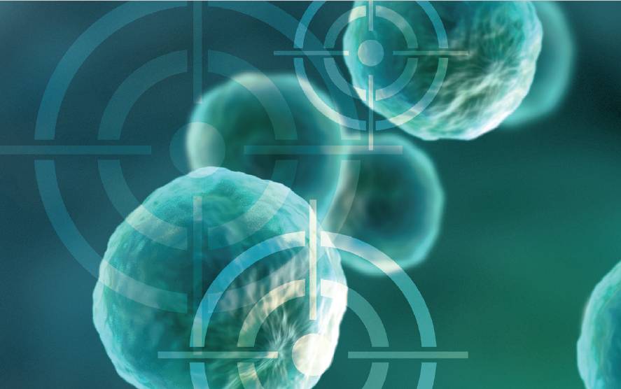 Customize your single-cell experiments with BD targeted RNA-Seq and ...